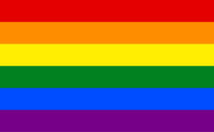 Guide to Pride flags and their meanings: A comprehensive understanding ...